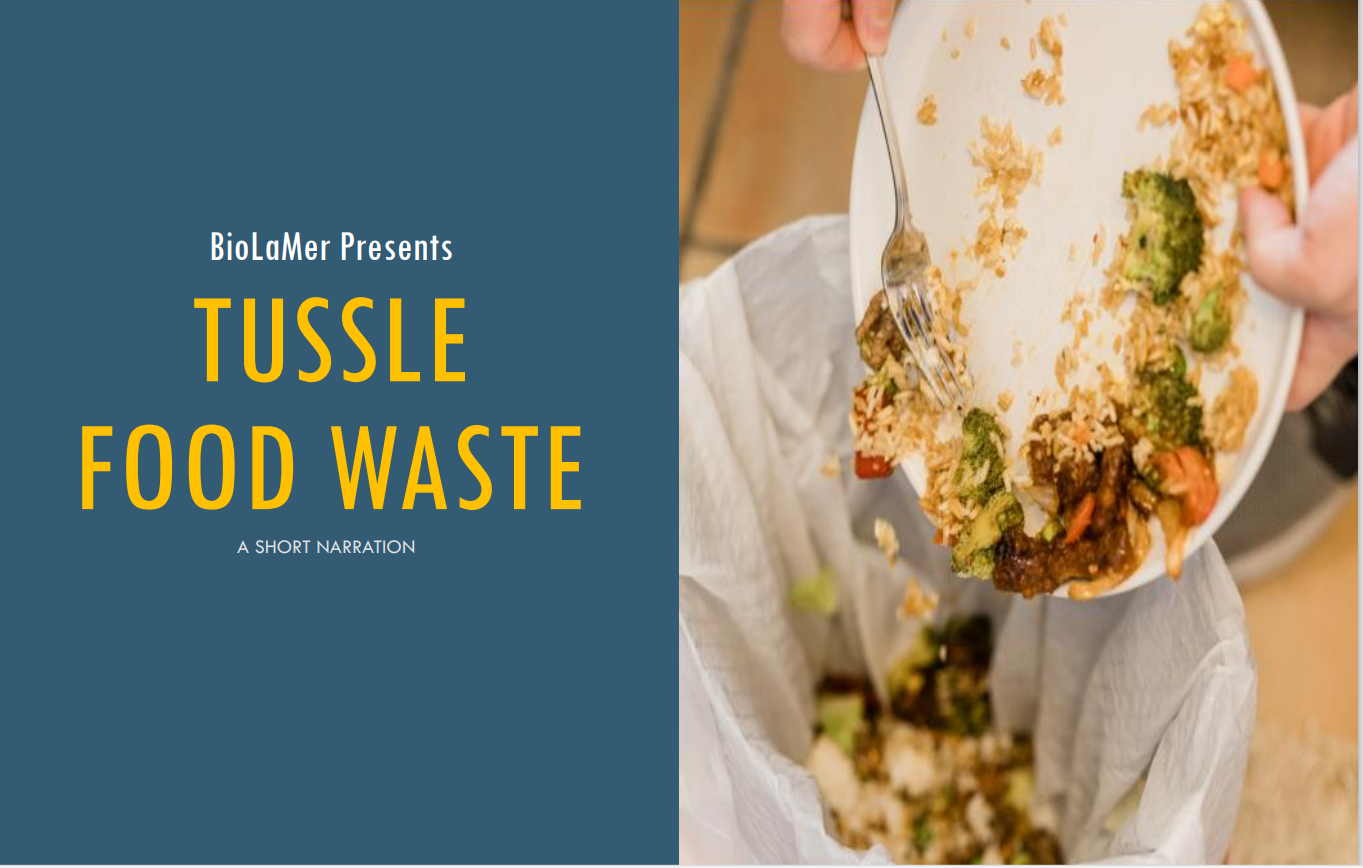 Rapid narrative on combating food waste