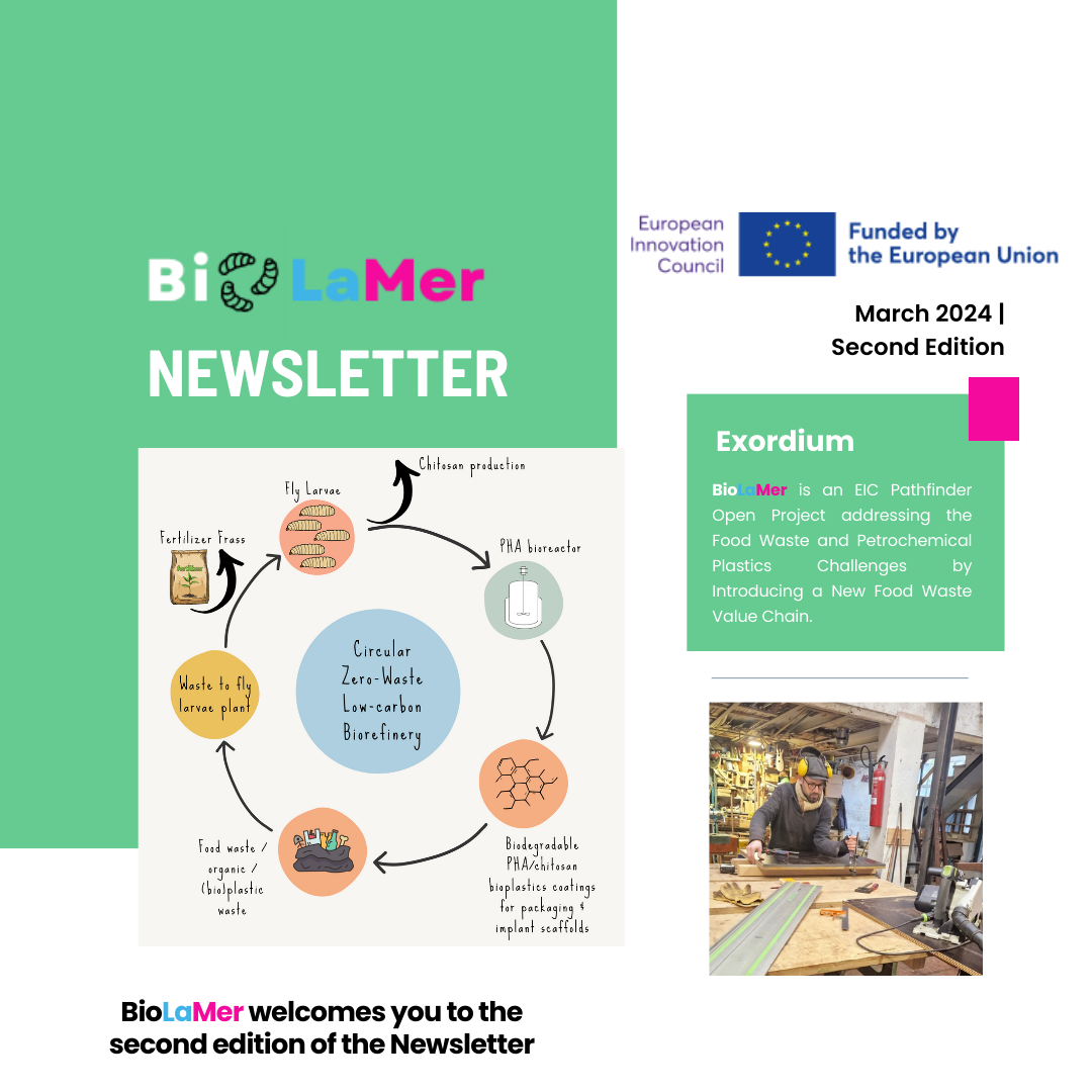 BioLaMer Newsletter #02